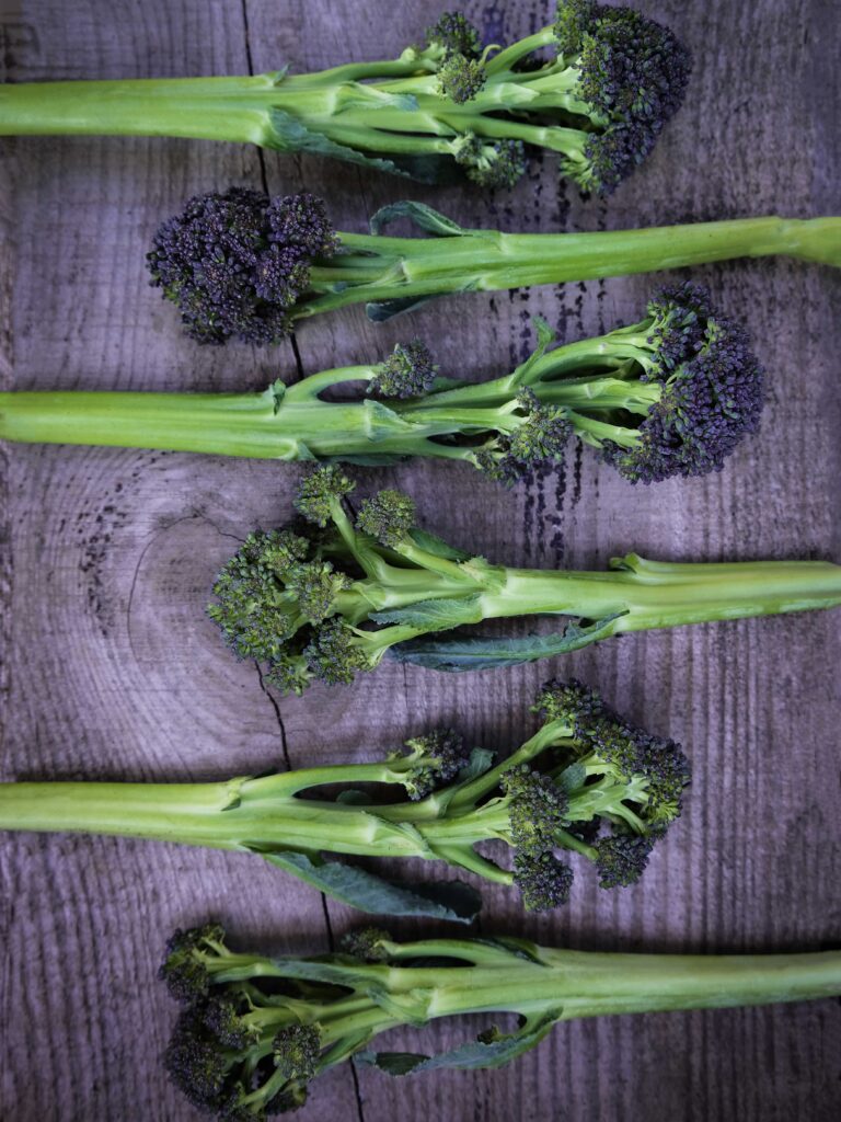 Buy Purple Sprouting Broccoli Rudolph Seeds | She Grows Veg