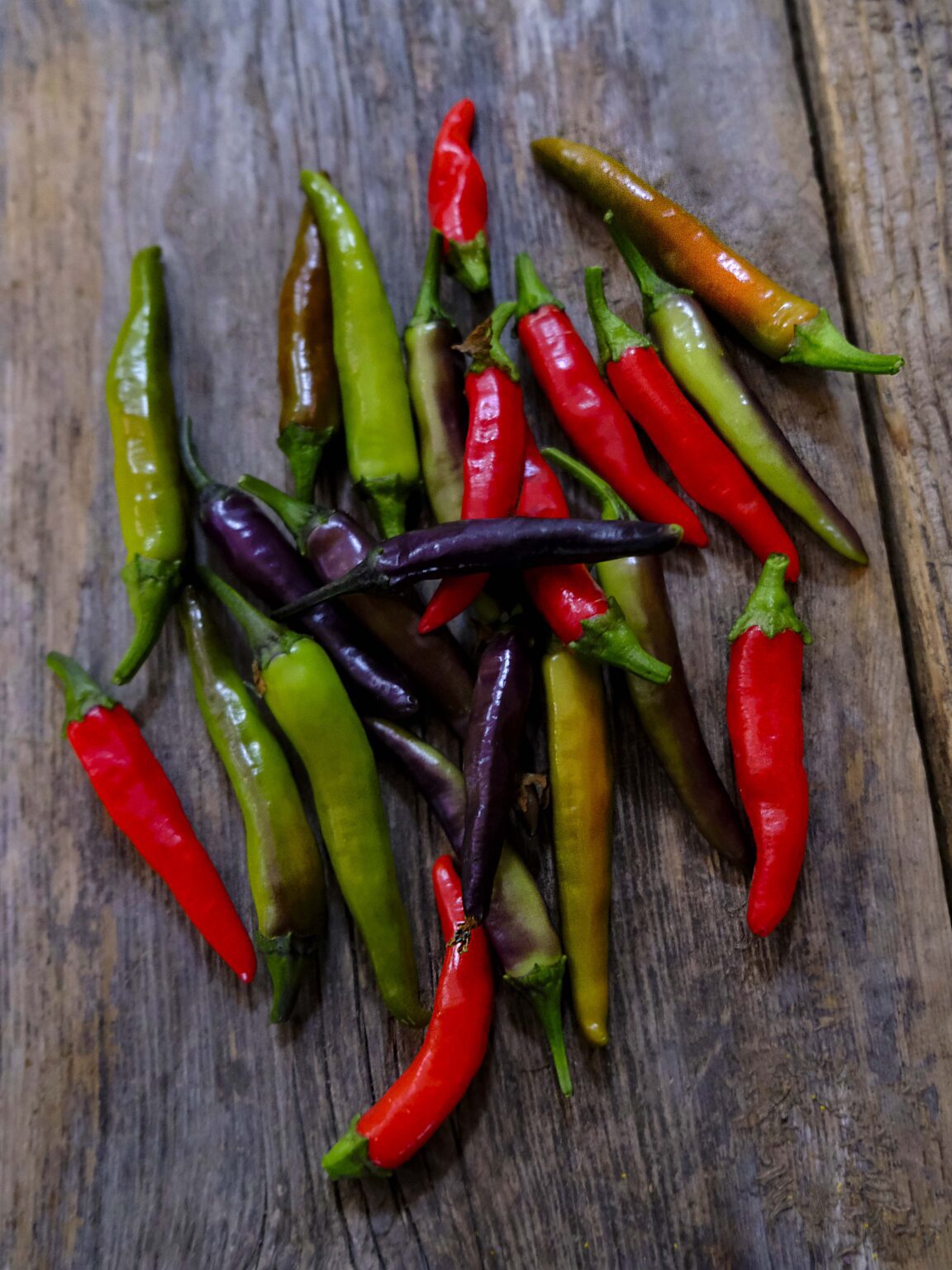 Buy Chilli Pepper Zimbabwe Black Seeds | She Grows Veg