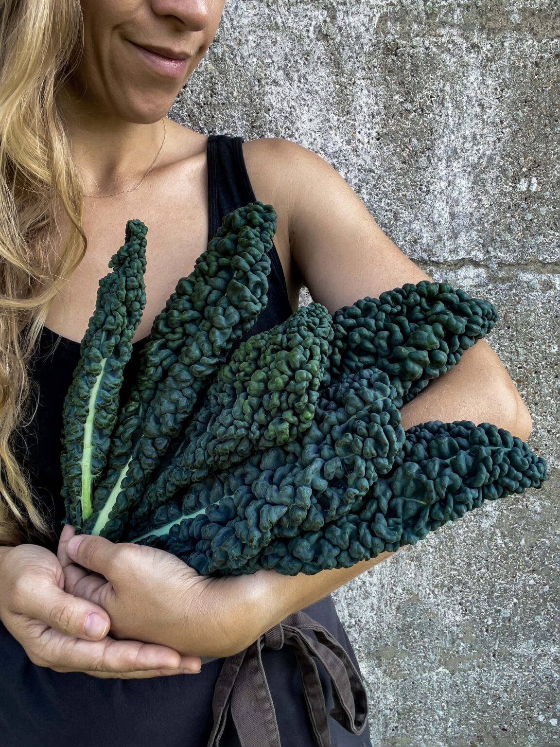 Buy Kale Precoce Di Toscana Seeds | She Grows Veg