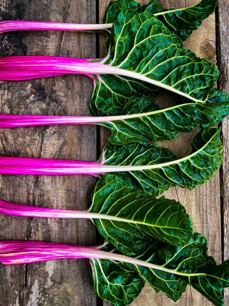 Buy Swiss Chard Peppermint Seeds | She Grows Veg