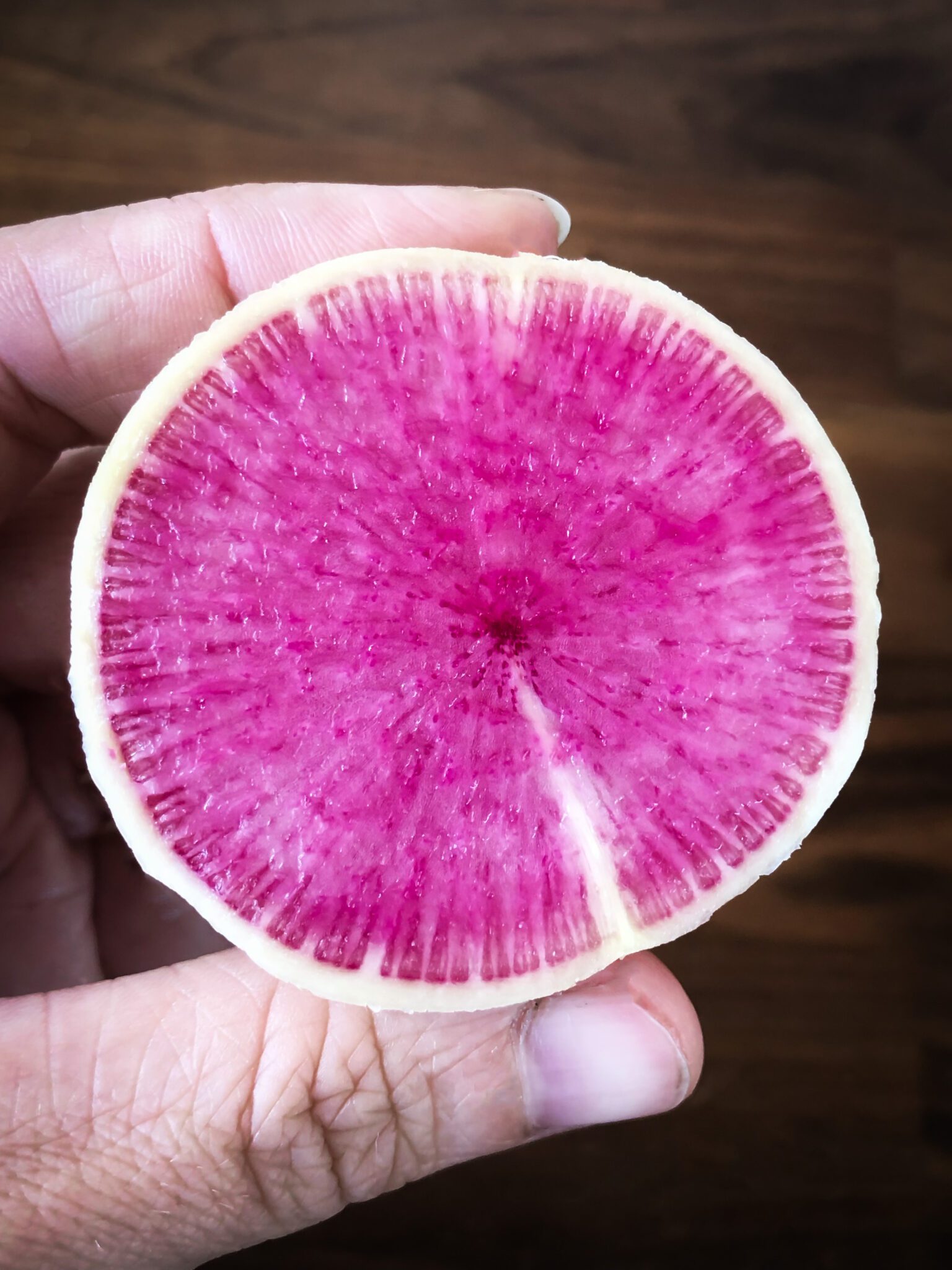 Buy Autumn Radish Watermelon Seeds | She Grows Veg