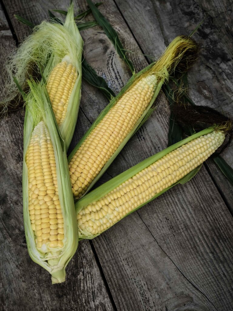 Buy Sweetcorn Golden Bantam Seeds | She Grows Veg