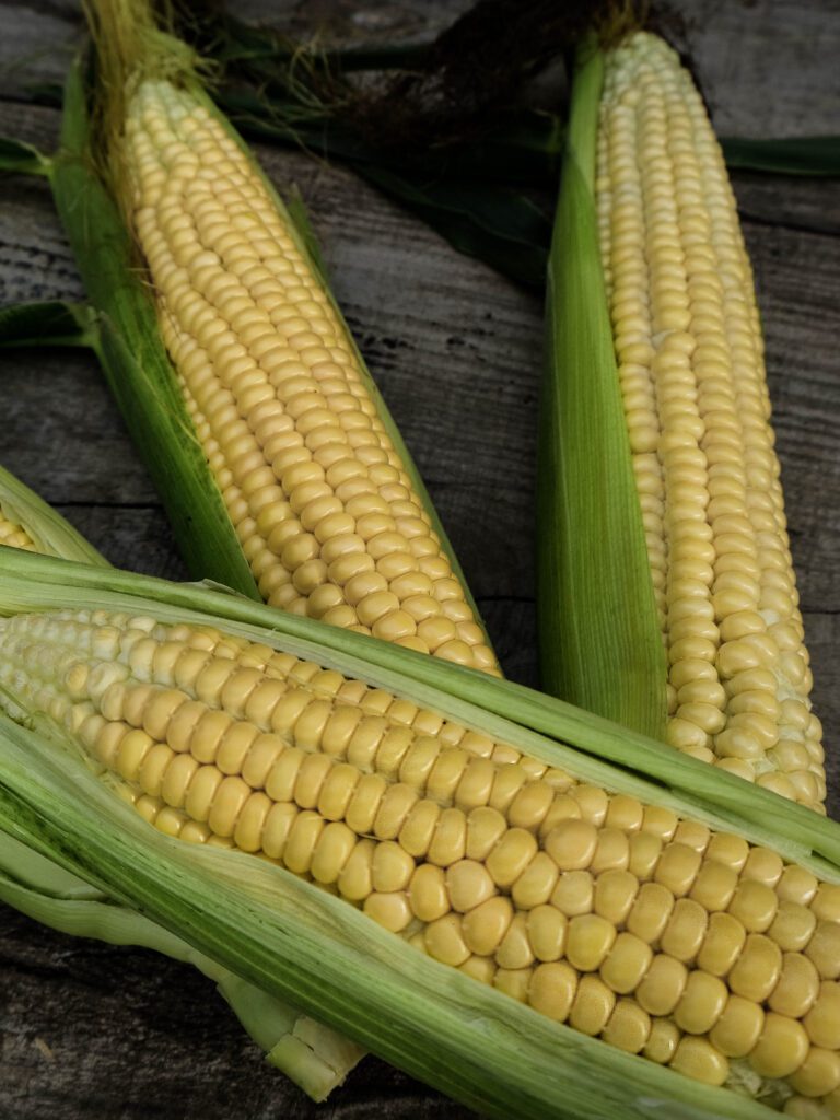 Buy Sweetcorn Golden Bantam Seeds | She Grows Veg