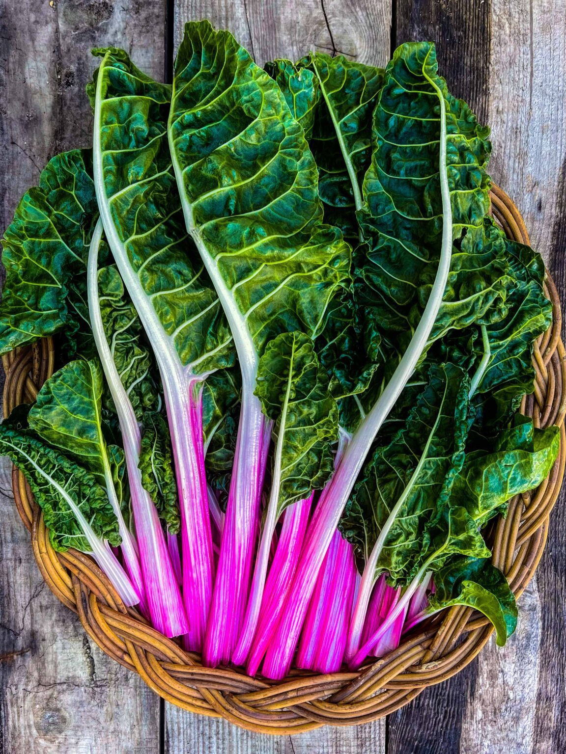 Buy Swiss Chard Peppermint Seeds | She Grows Veg