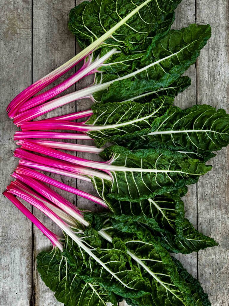 Buy Swiss Chard Peppermint Seeds | She Grows Veg