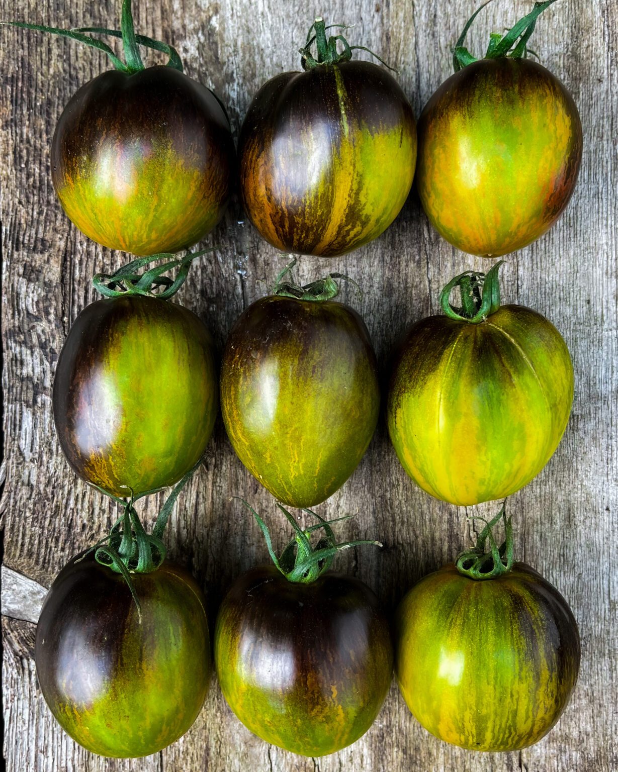Buy Tomato Atomic Fusion Seeds | She Grows Veg
