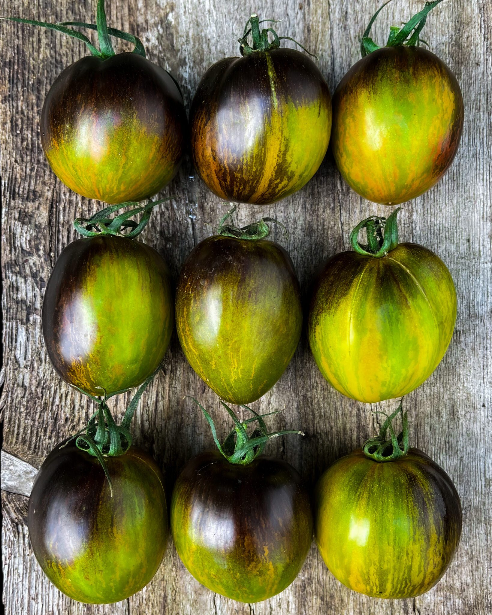 Buy Tomato Atomic Fusion Seeds | She Grows Veg