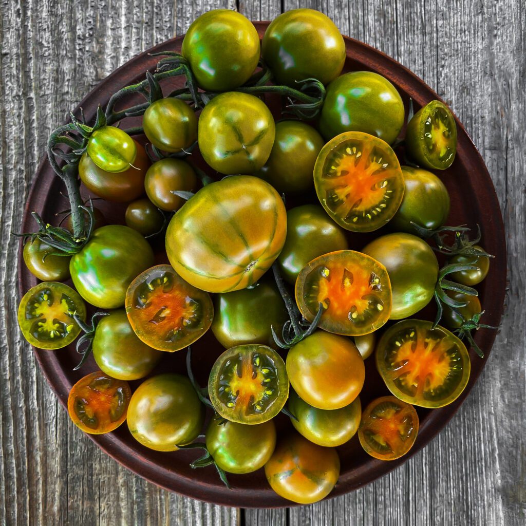 Buy Tomato Evil Olive Seeds | She Grows Veg