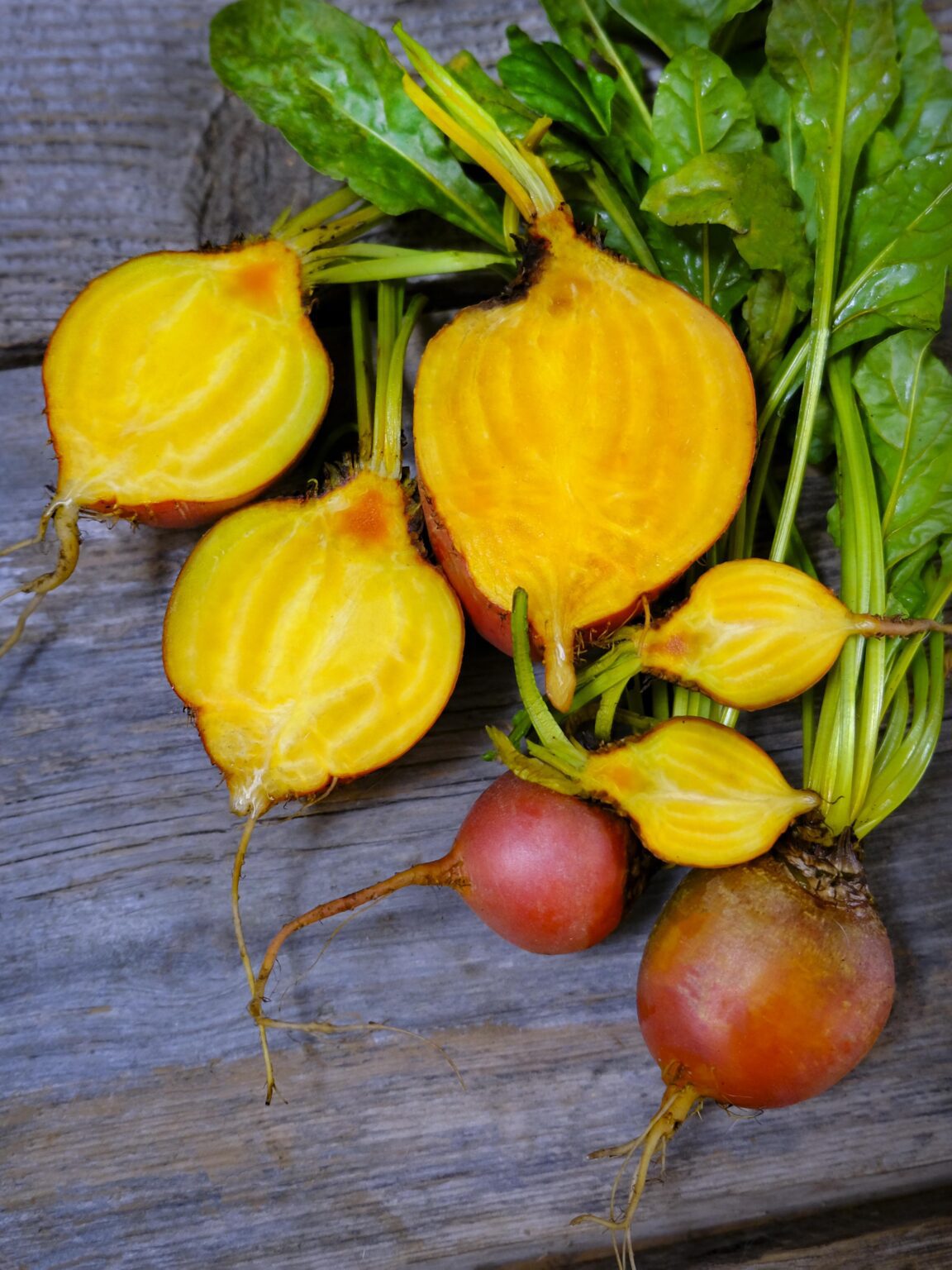 Buy Beetroot Golden Eye Seeds | She Grows Veg