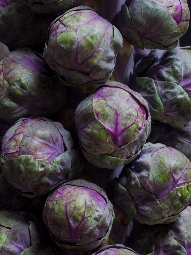 Buy Brussel Sprout Red Bull Seeds | She Grows Veg