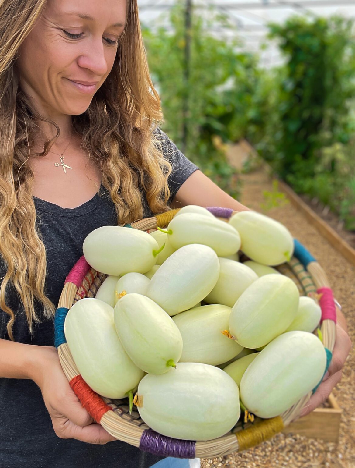 Buy Cucumber Dragon's Egg Seeds | She Grows Veg