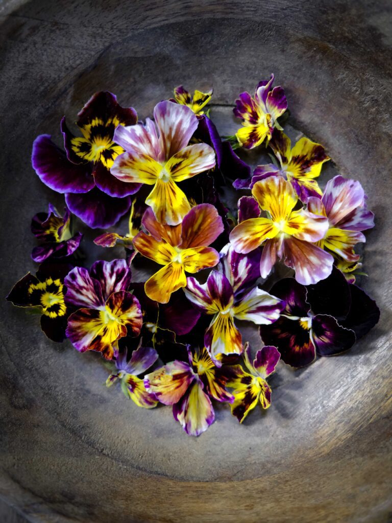 Buy Edible Flower Bundle (with gift bag) Seeds | She Grows Veg