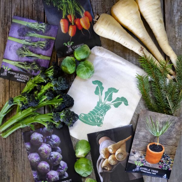 Grow Your Own Christmas Dinner Seed Bundle (with gift bag) | She Grows Veg