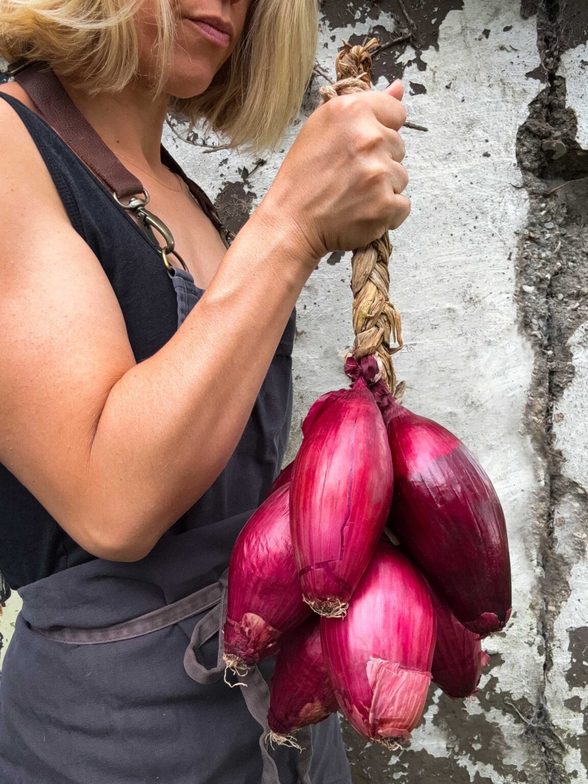 Buy Onion Long Red of Florence Seeds | She Grows Veg