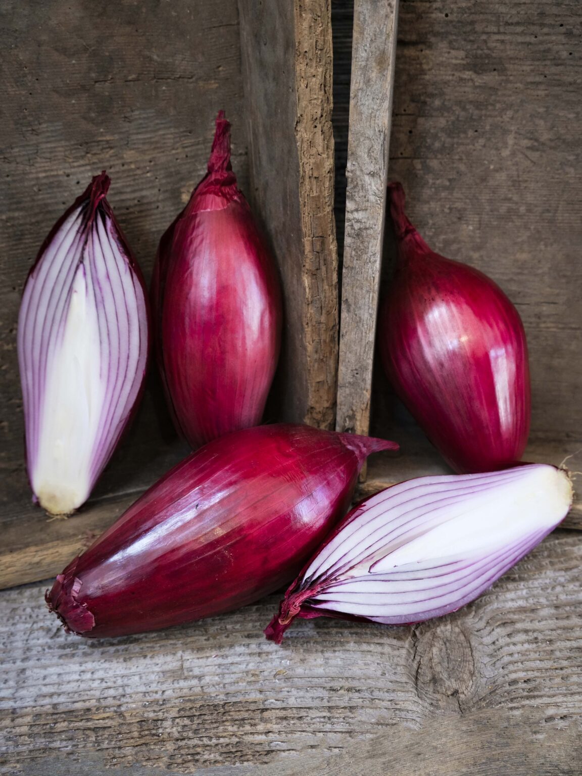 Buy Onion Long Red of Florence Seeds | She Grows Veg