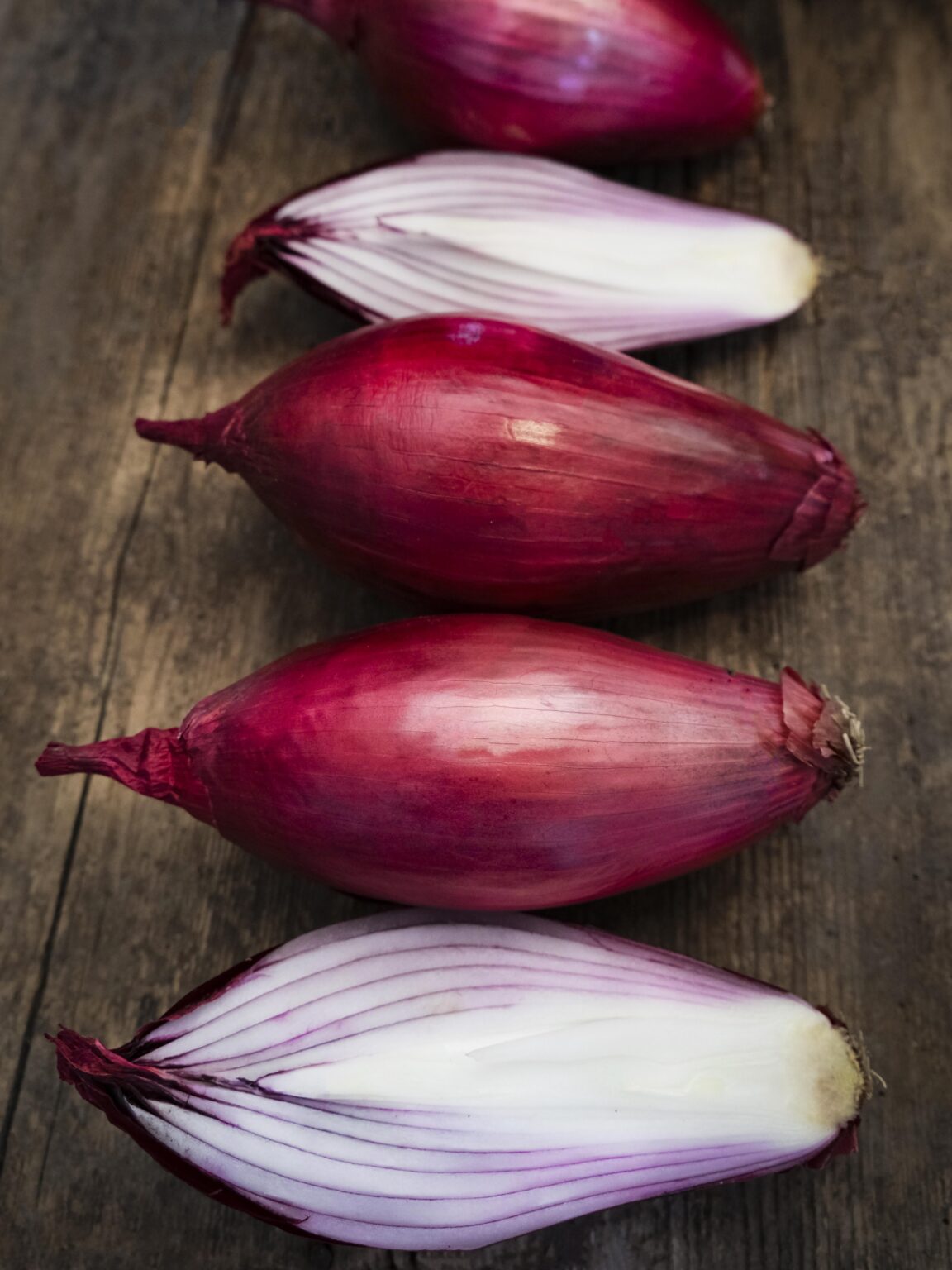 Buy Onion Long Red of Florence Seeds | She Grows Veg