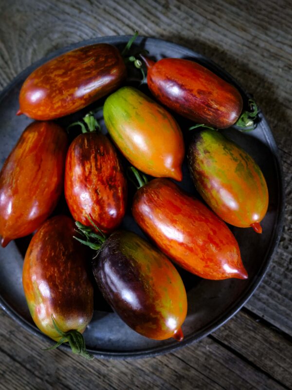 Buy Tomato Shadow Boxing Seeds | She Grows Veg