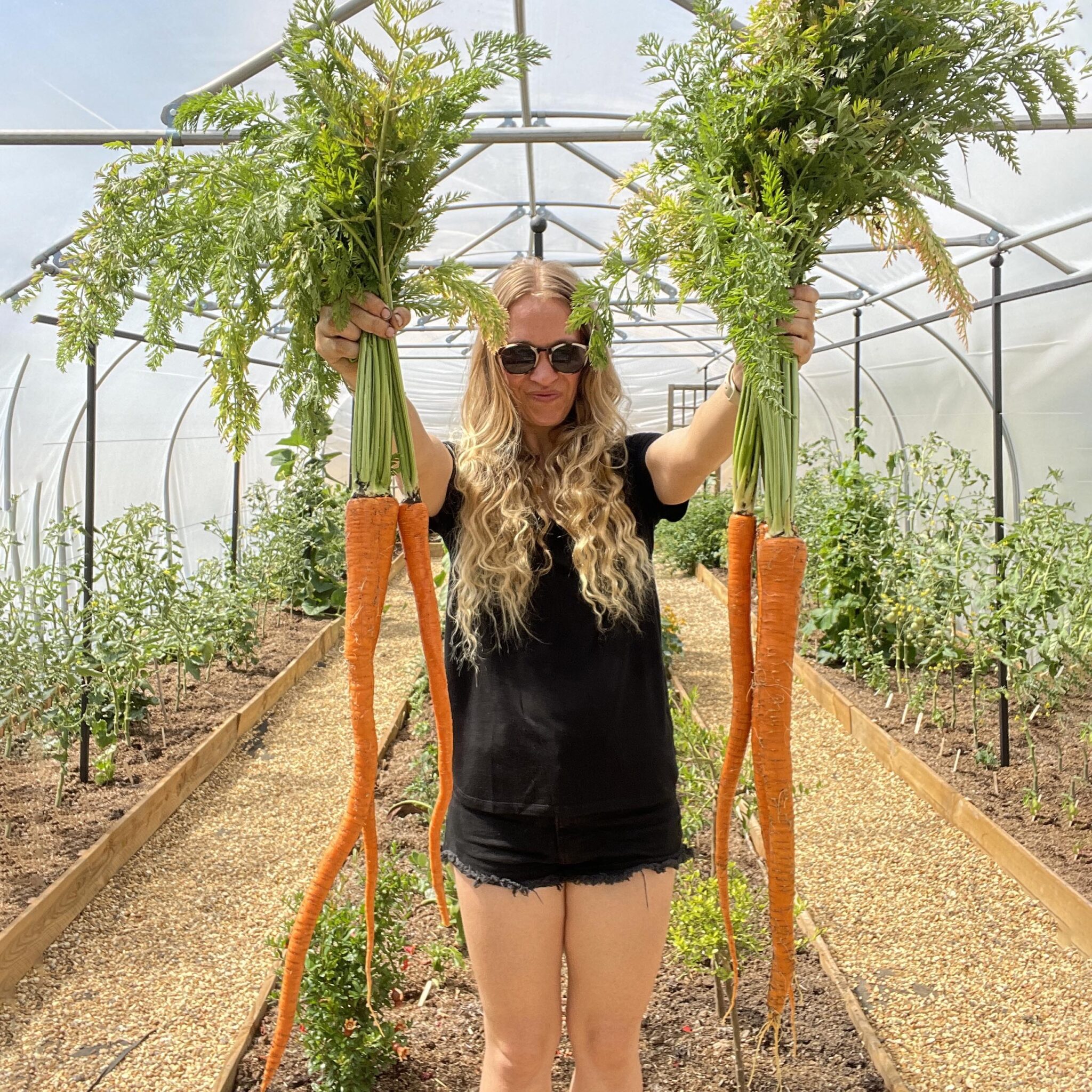 How to Sow and Grow Giant Carrots | She Grows Veg