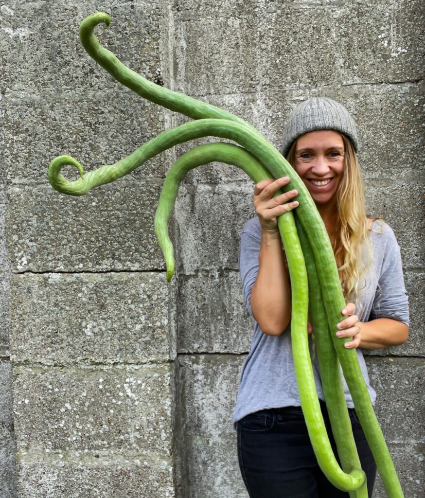 How to Sow and Grow Gourds | She Grows Veg