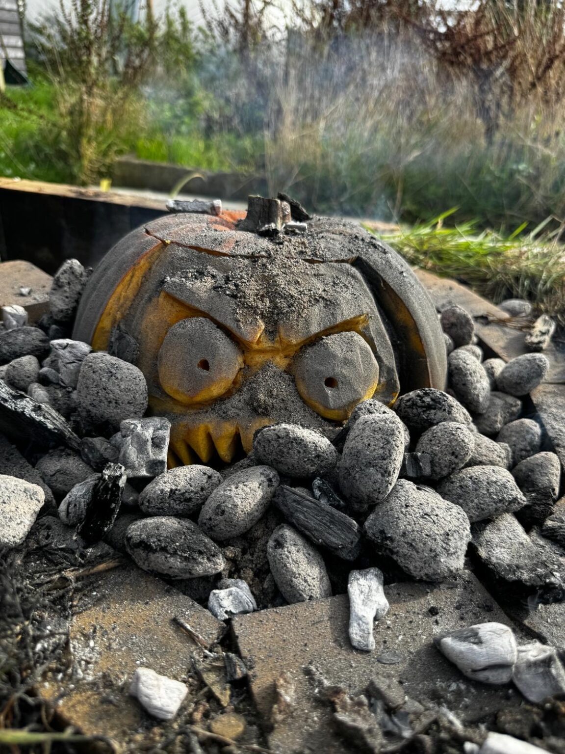 How to Cook Whole Roasted Pumpkin Over an Open Fire | She Grows Veg