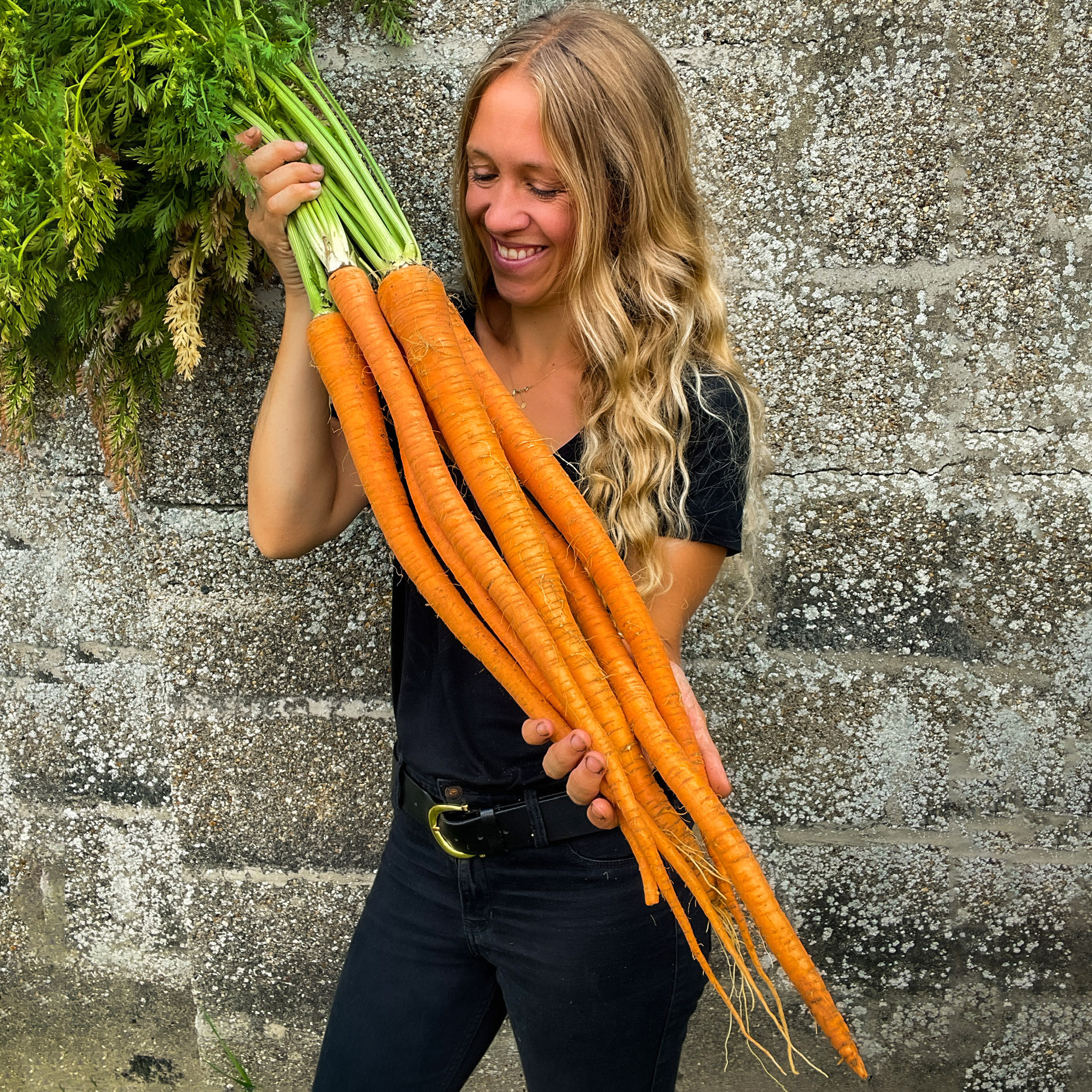 How to Sow and Grow Giant Carrots | She Grows Veg