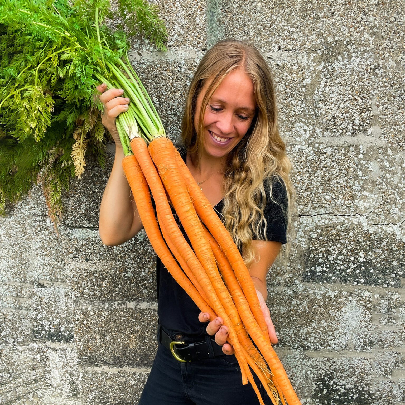 How to Sow and Grow Giant Carrots | She Grows Veg