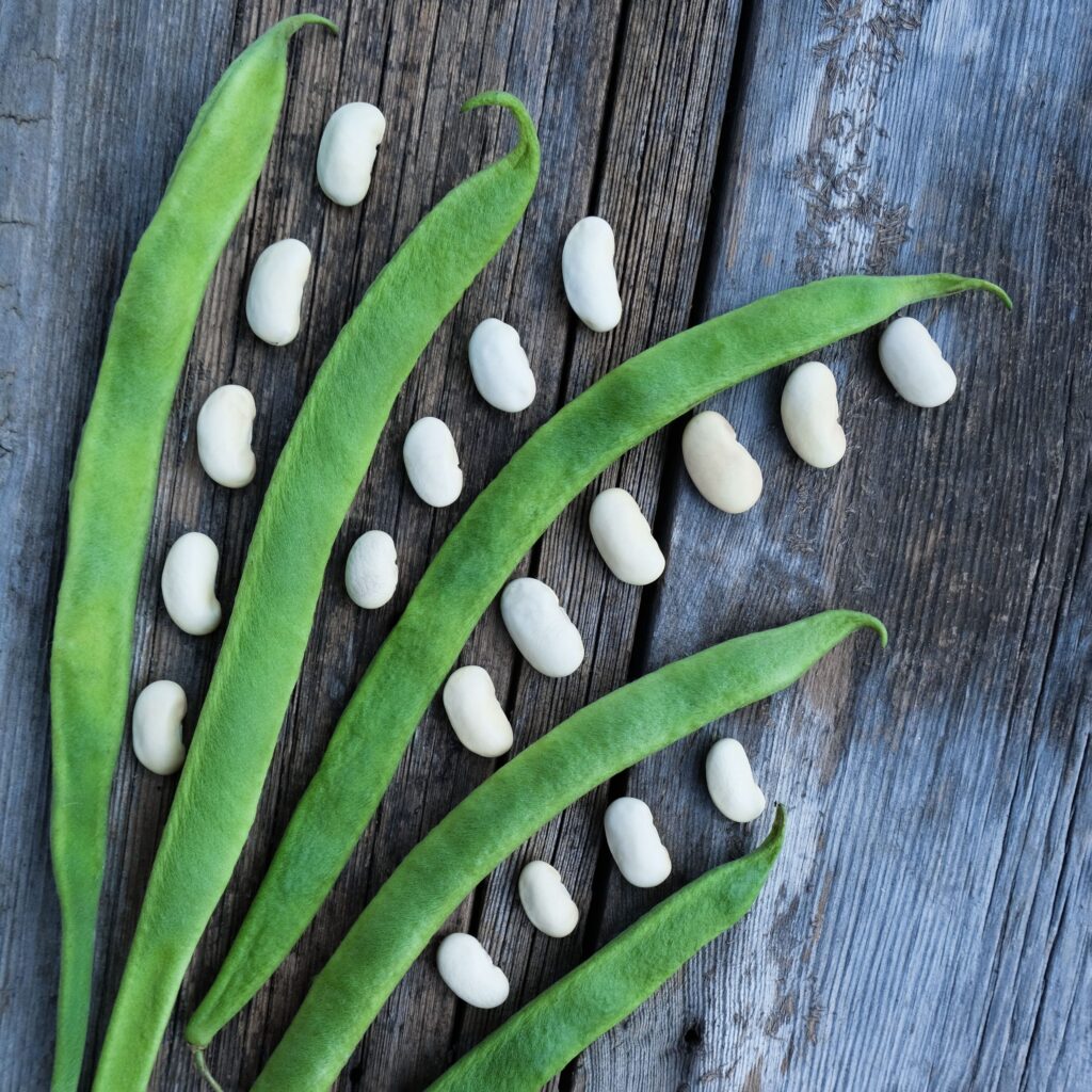 Buy Runner Bean Czar Seeds | She Grows Veg