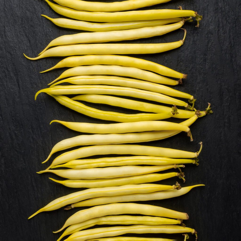 Buy French Bean Monte Gusto Seeds | She Grows Veg