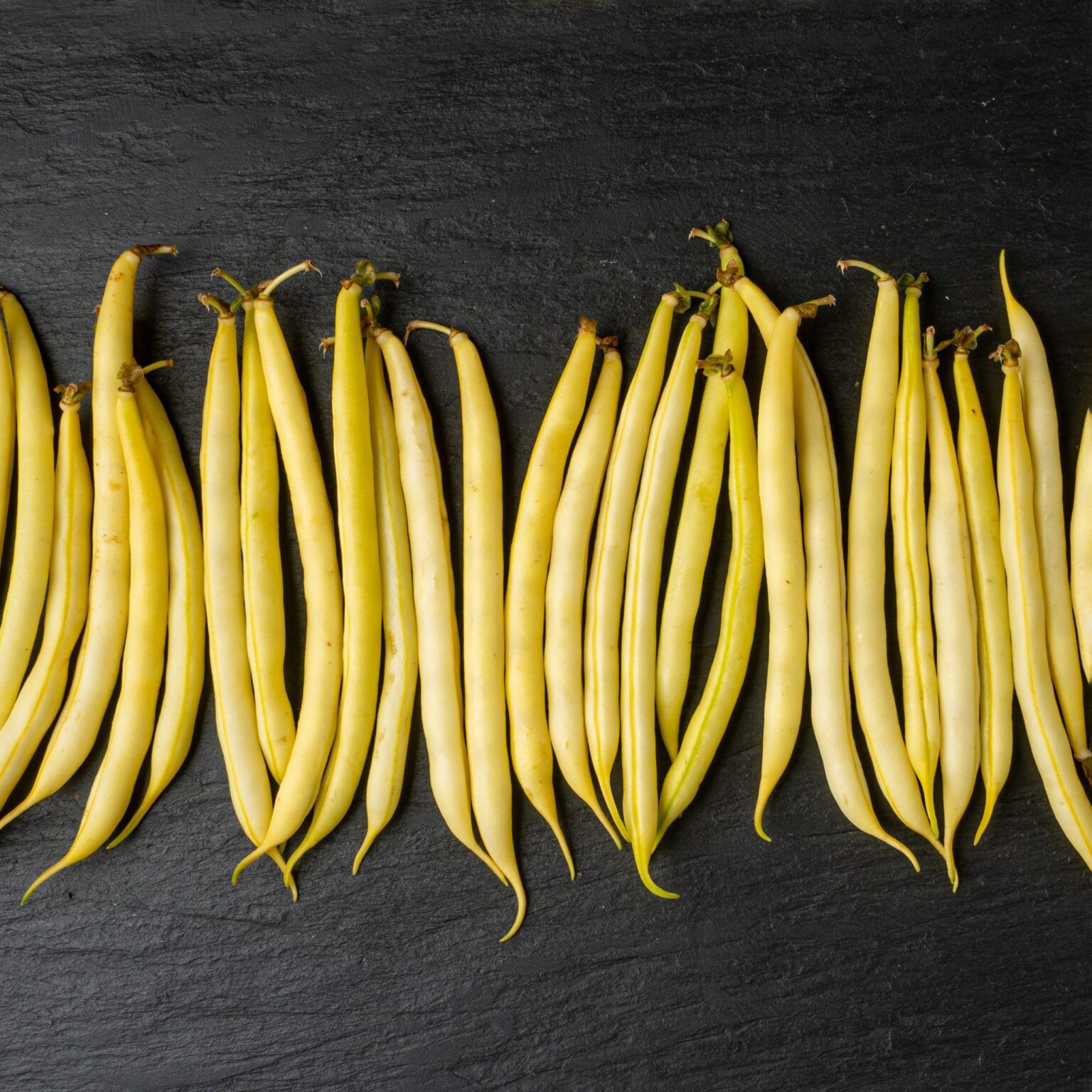 How to Sow and Grow Beans | She Grows Veg