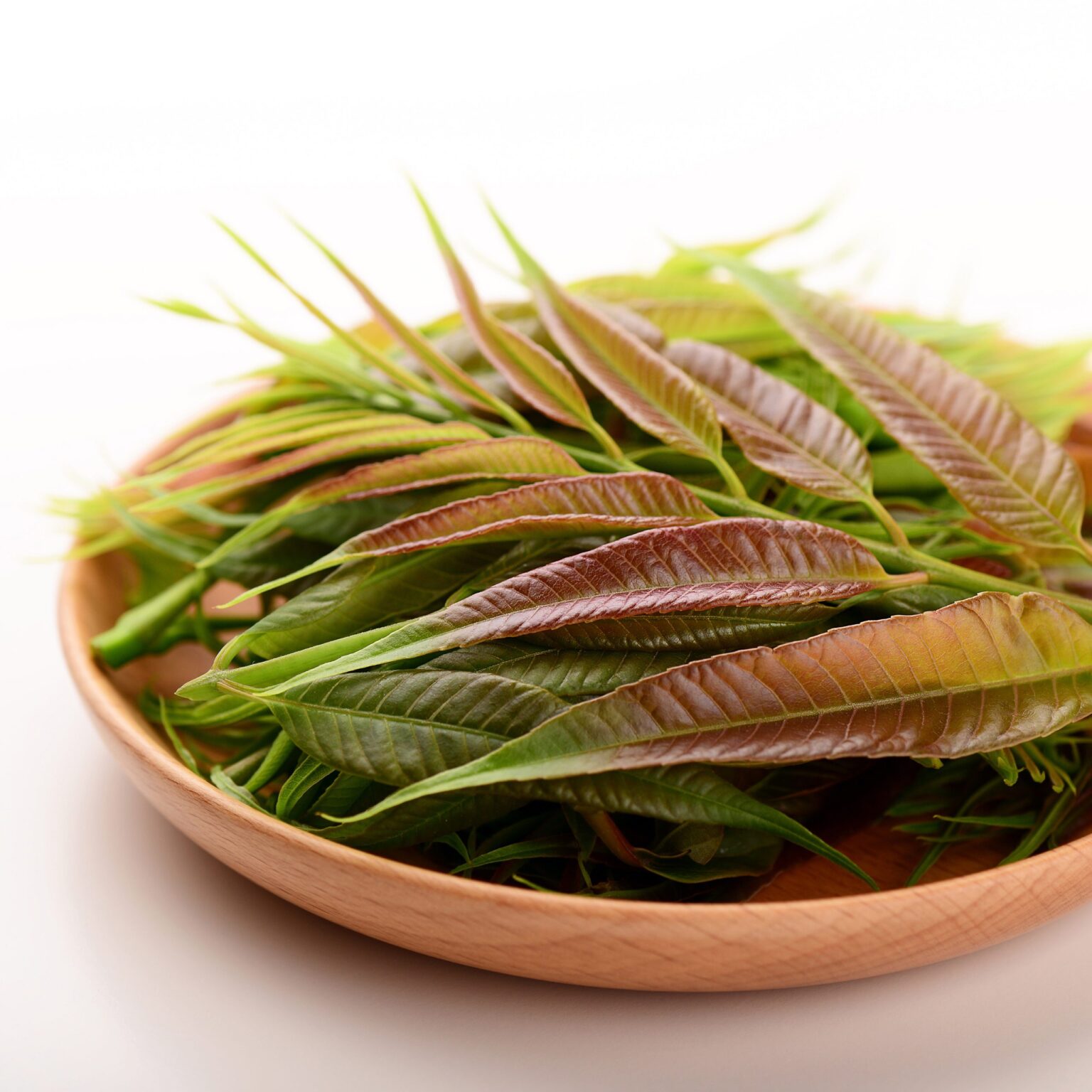 Buy Edible Tree Beef and Onion Tree Seeds | She Grows Veg
