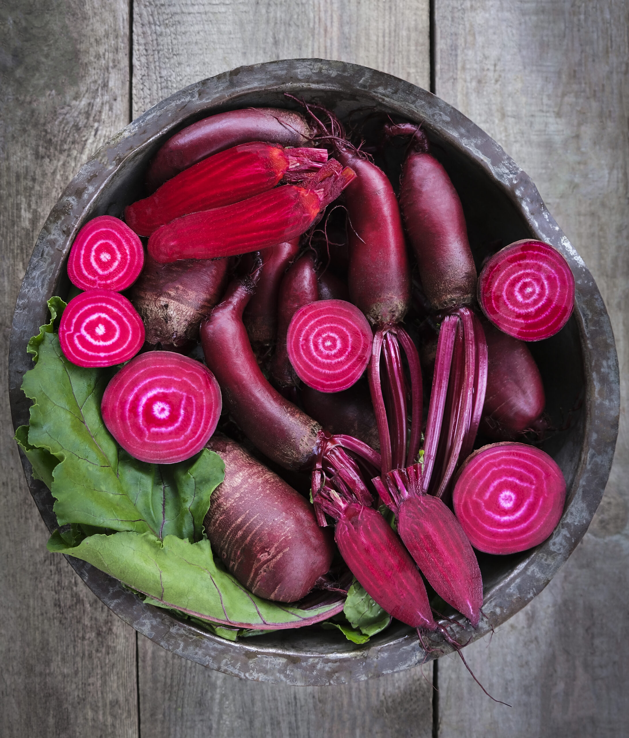 How to Sow and Grow Beetroots | She Grows Veg