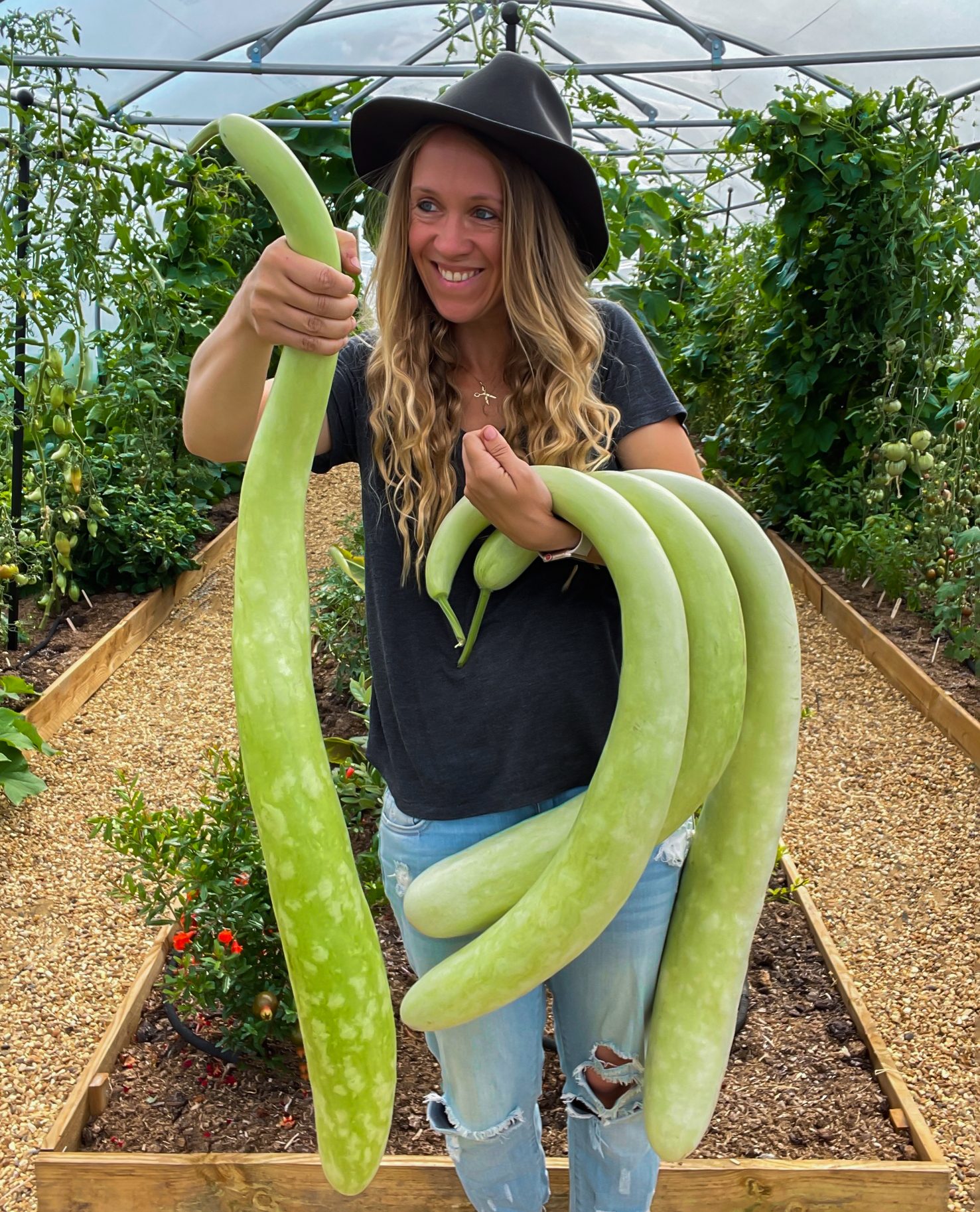 How to Sow and Grow Gourds | She Grows Veg