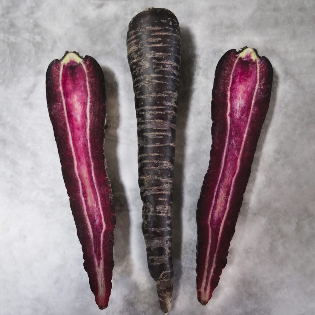 Buy Carrot Black Nebula Seeds | She Grows Veg
