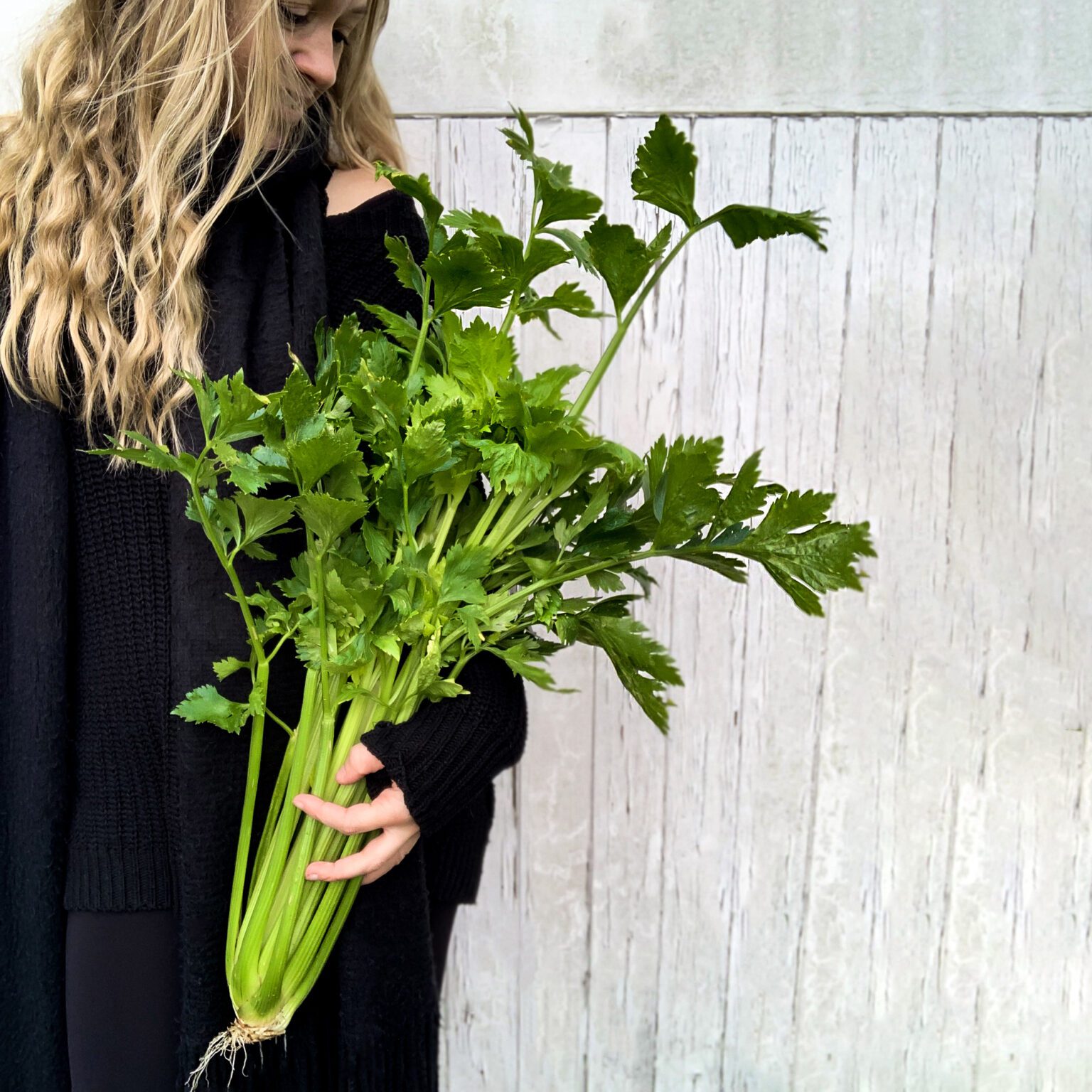 Buy Foodie's Seed Selection (with gift bag) Seeds | She Grows Veg