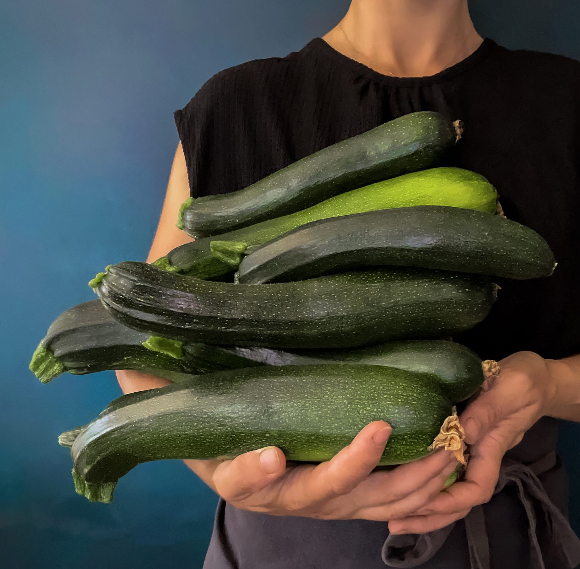 How to Sow and Grow Courgettes | She Grows Veg