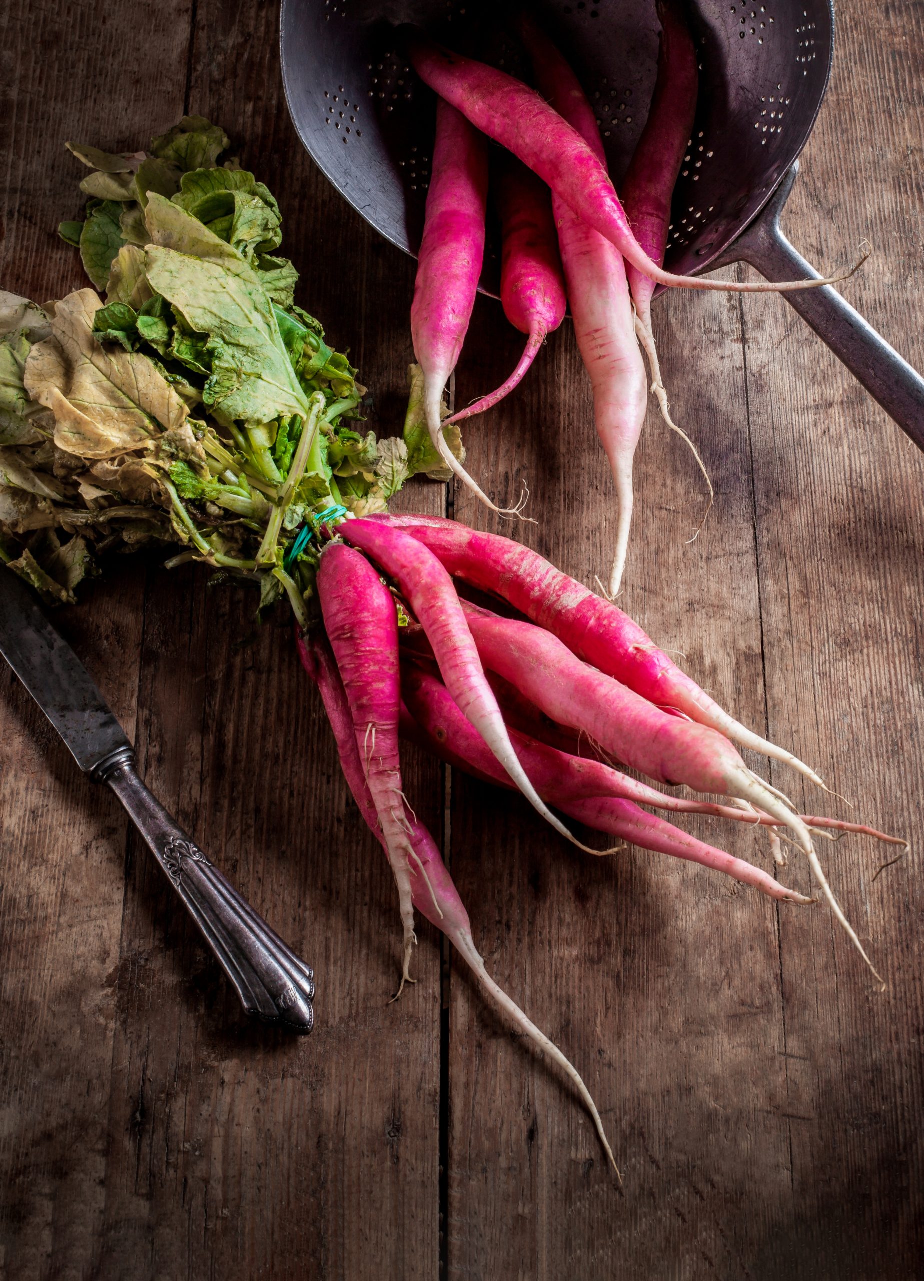 How to Sow and Grow Radishes | She Grows Veg