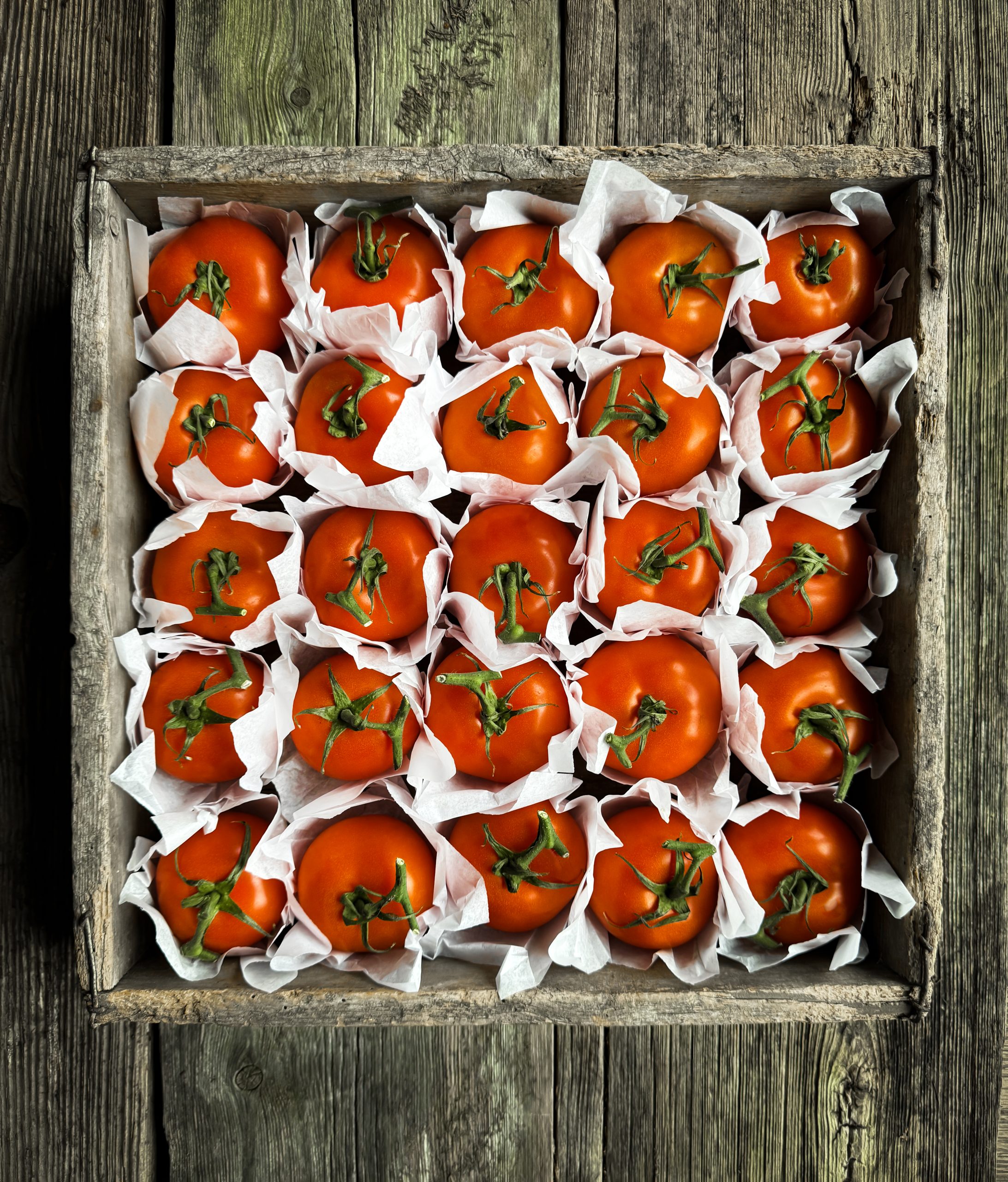 How to Sow and Grow Storage Tomatoes | She Grows Veg