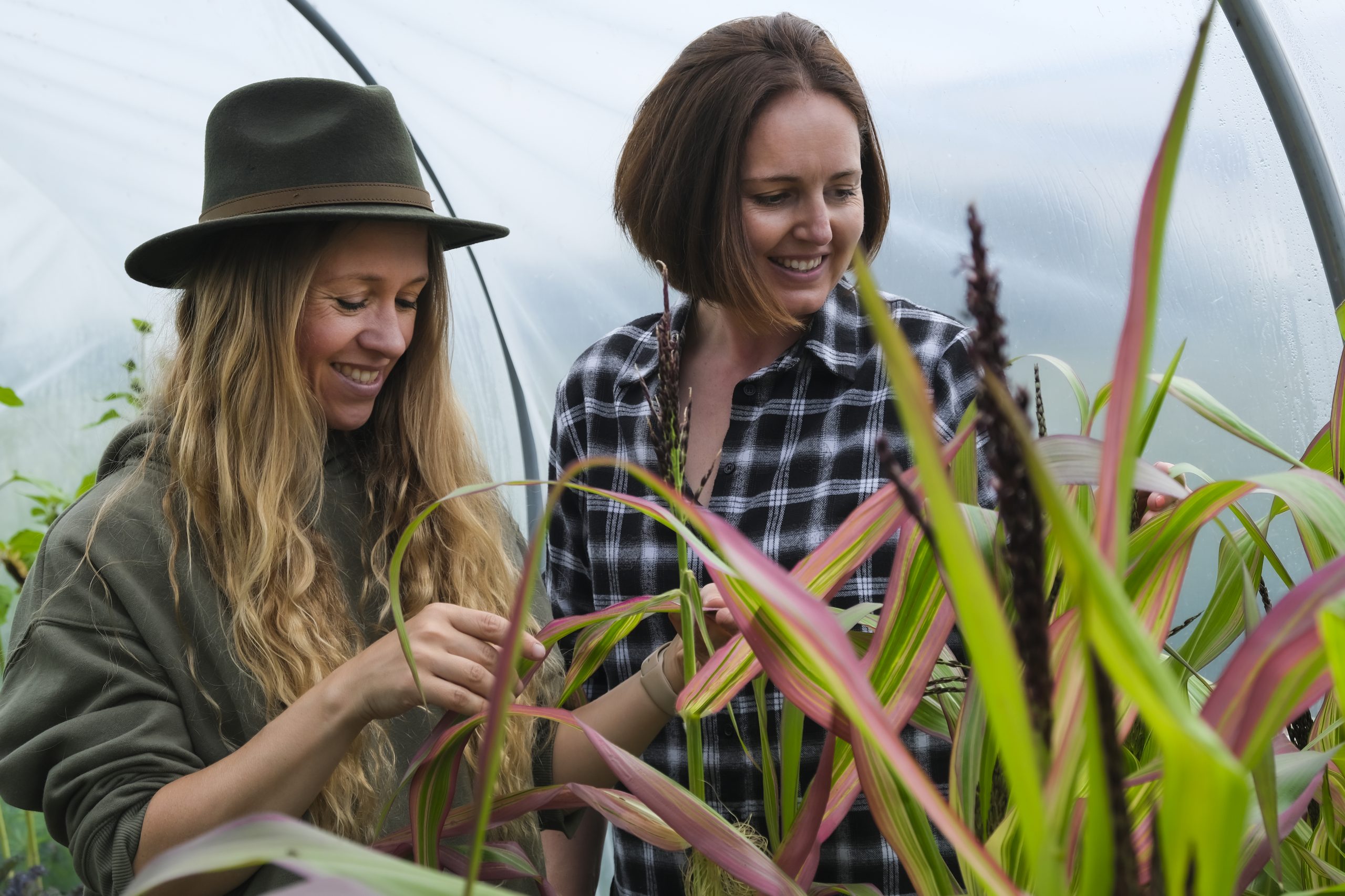 Your Veg Gardening Glossary - getting beyond the jargon! | She Grows Veg