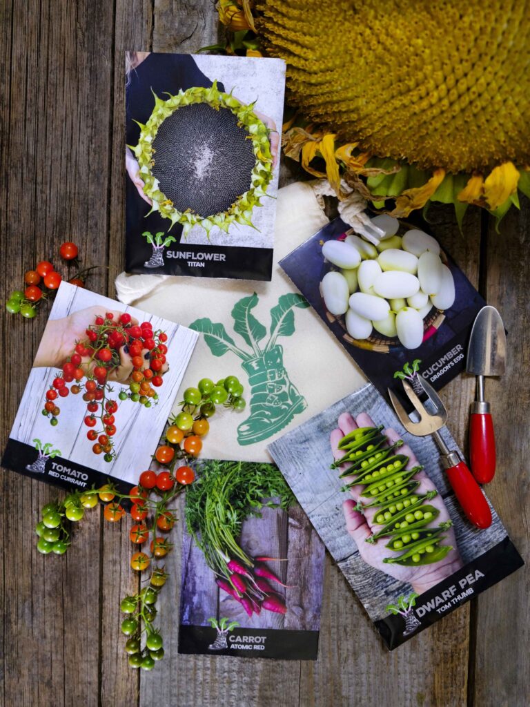 Buy Kids Fun to Grow Pack (with gift bag) Seeds | She Grows Veg