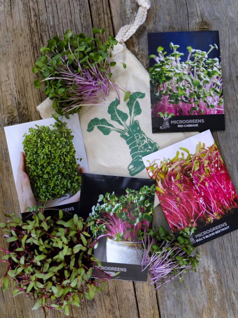 Buy Microgreens Gift Bundle (with gift bag) Seeds | She Grows Veg