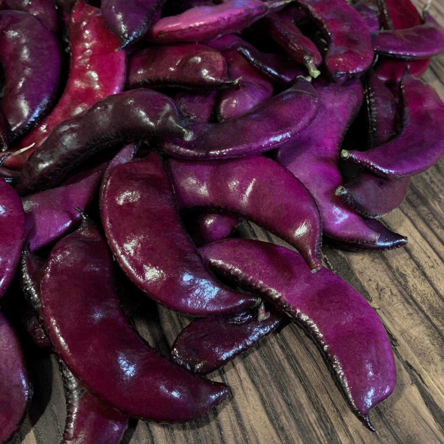 Buy Hyacinth Bean Ruby Moon Seeds | She Grows Veg