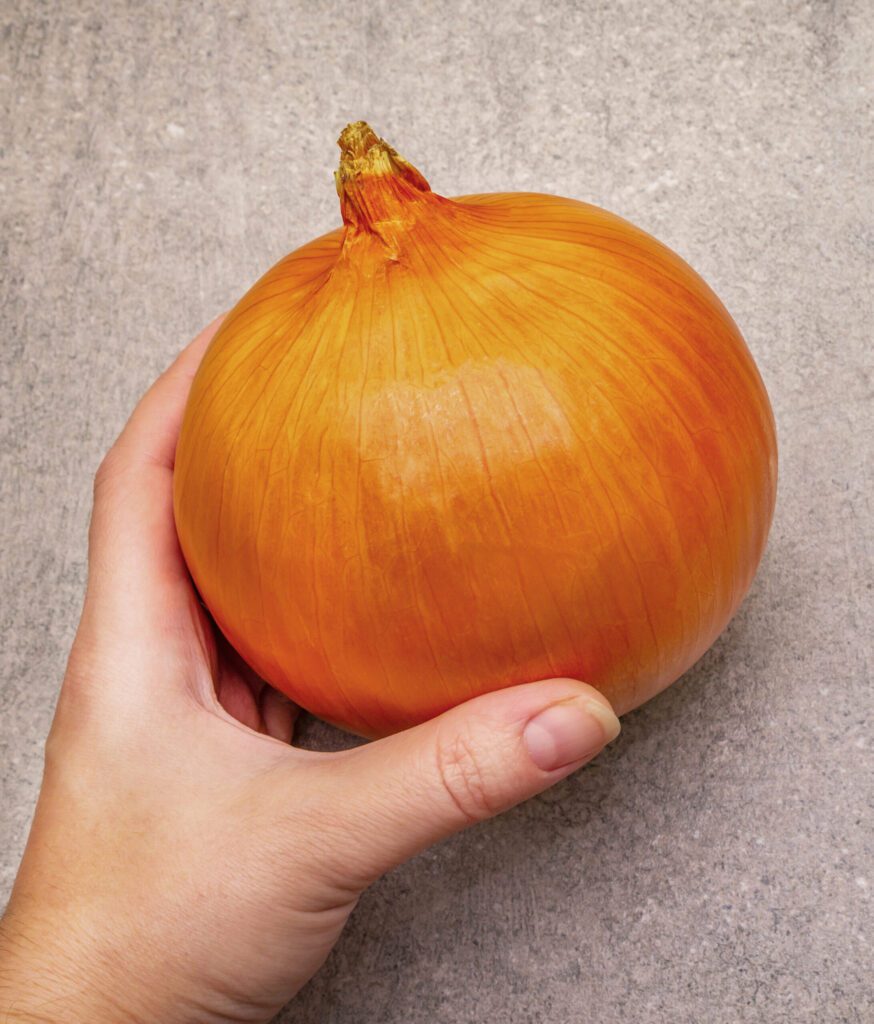 Buy Onion Galacticus Seeds | She Grows Veg