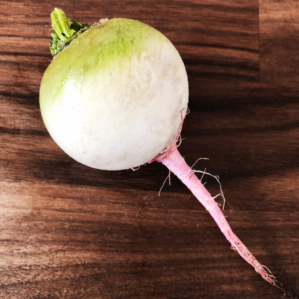 Buy Autumn Radish Watermelon Seeds | She Grows Veg