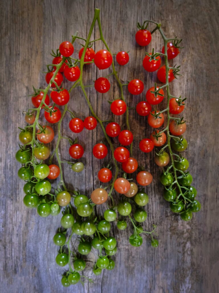 Buy Wild Tomato Red Currant Seeds | She Grows Veg