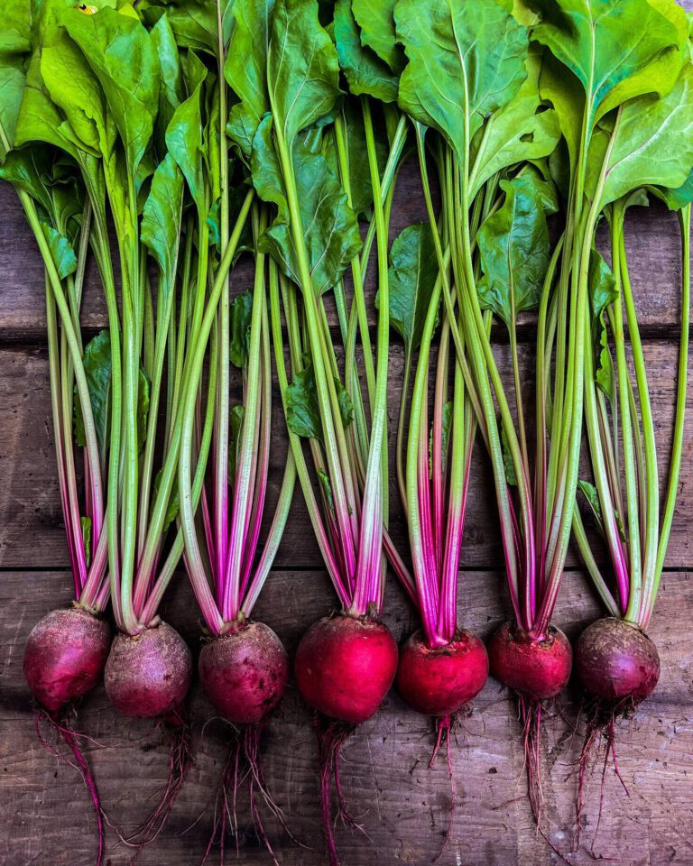 Buy Beetroot Chioggia Seeds | She Grows Veg