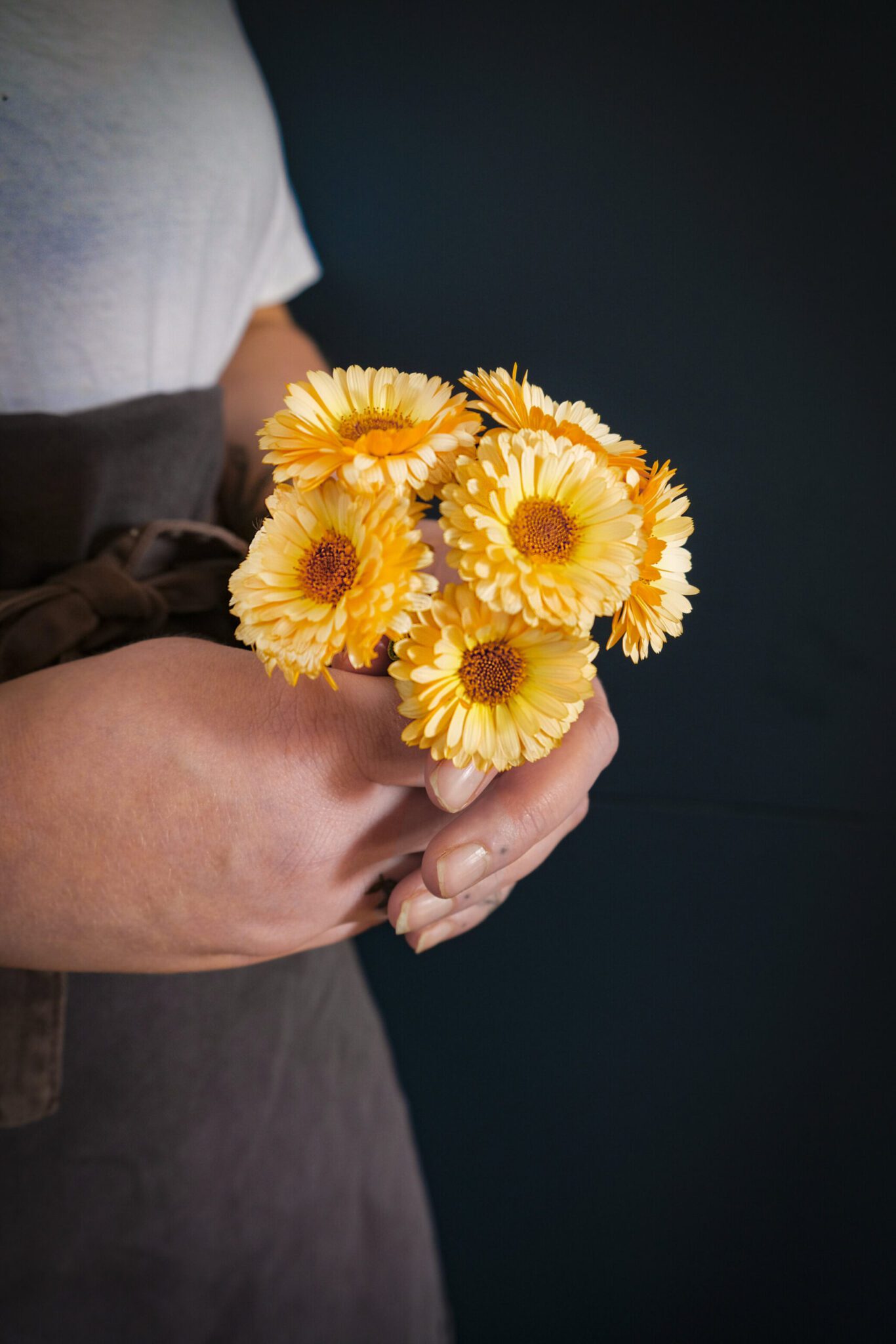 Buy Calendula Pink Surprise Seeds | She Grows Veg