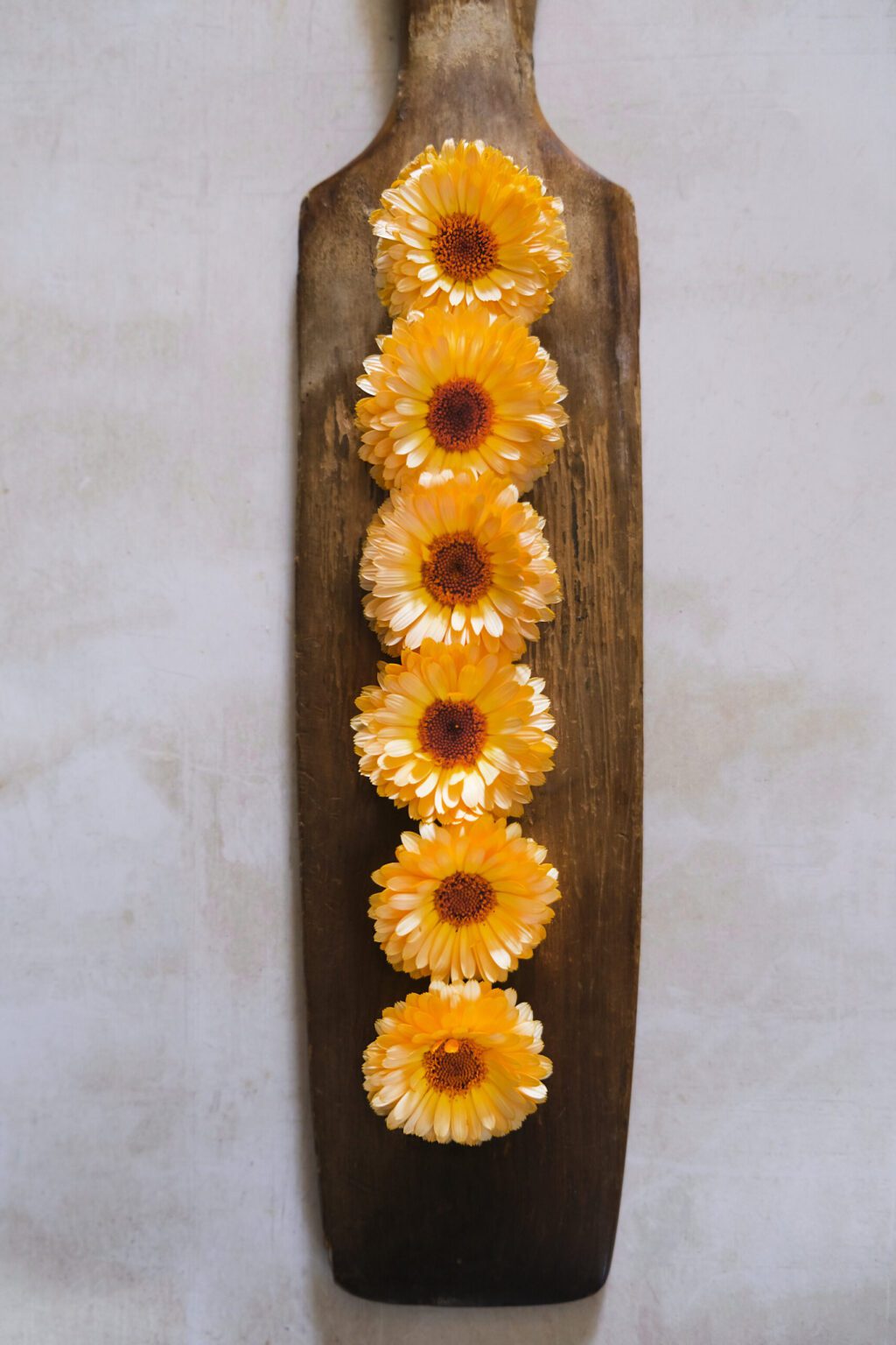 Buy Calendula Pink Surprise Seeds | She Grows Veg