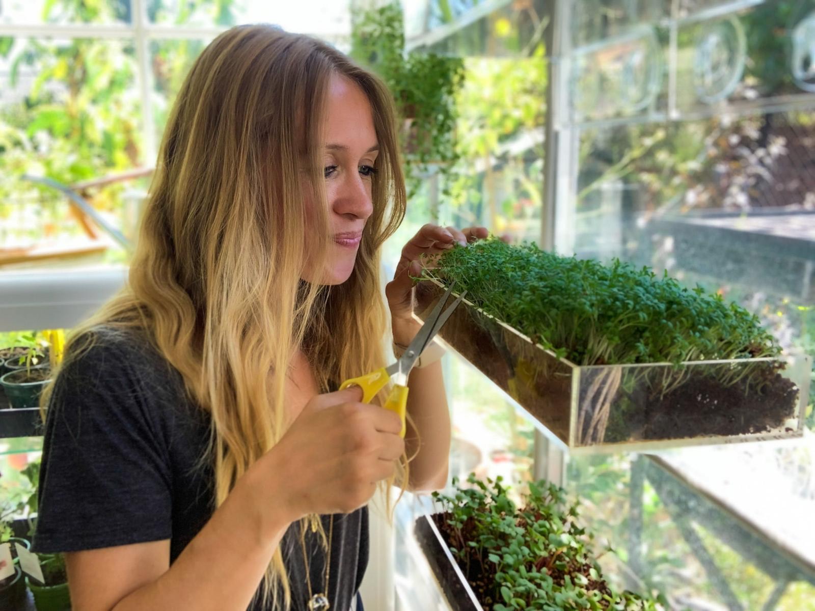 What Veg Seeds To Sow In December | She Grows Veg