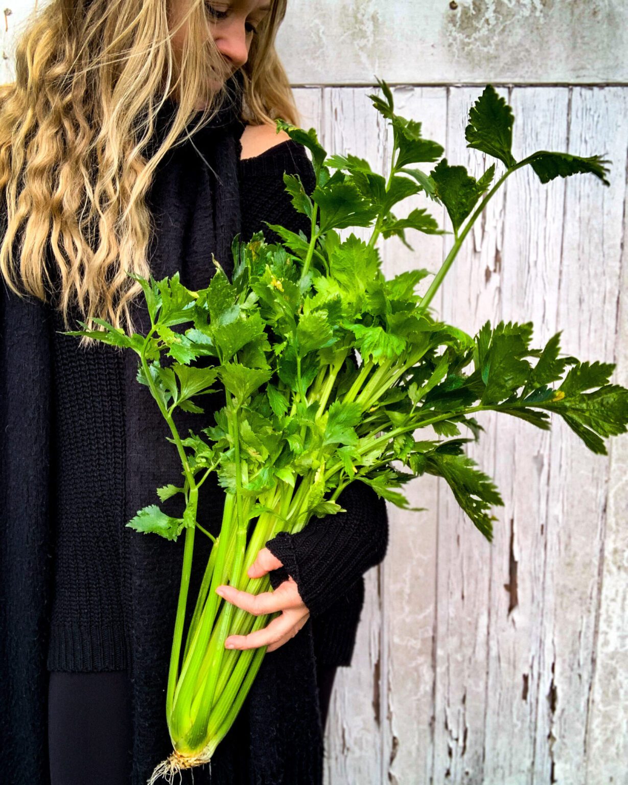 How to Sow and Grow Celery | She Grows Veg