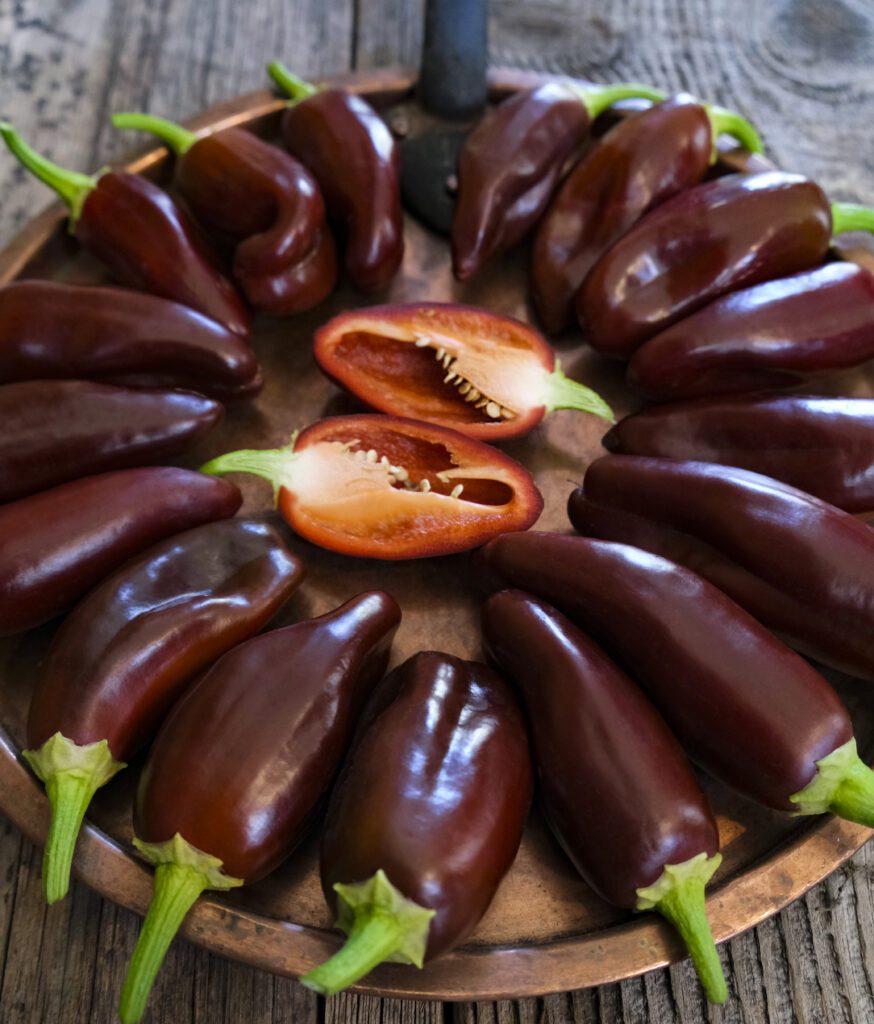 Buy Chilli Pepper Brown Jalapeno Seeds | She Grows Veg